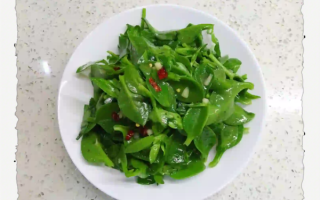 凉拌穿心莲用焯水吗_穿心莲凉拌要不要焯水