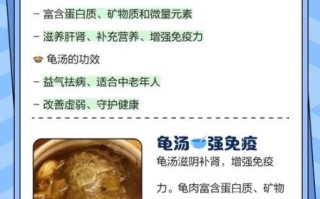 乌龟炖汤的做法大全_乌龟汤怎么炖最补