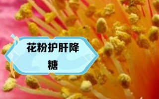 花粉什么时候吃减肥_花粉减肥正确吃法