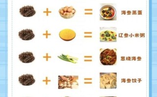 海参什么时候吃最好_海参一天吃几次最合适