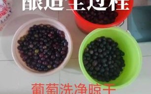 怎样酿造葡萄酒_自酿葡萄酒步骤详解