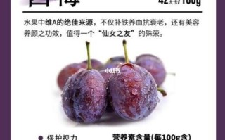 西梅的营养价值_西梅的功效与作用