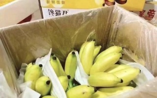 帝王蕉的功效与作用_帝王蕉适合什么人吃