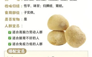 猴头菇干货怎么泡发_猴头菇泡发多久才软