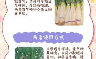 葱蒜图片怎么区分_葱蒜图片拍摄技巧