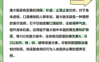 猪大肠的营养价值_猪大肠吃了有什么好处