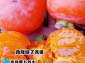 霜降吃什么_霜降节气传统食物