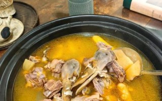 老鸭汤怎么炖好喝_老鸭汤做法视频