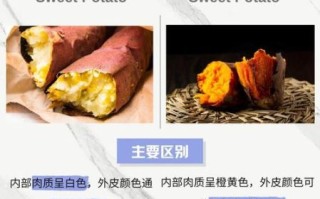 白红薯和红红薯的区别_哪个更甜