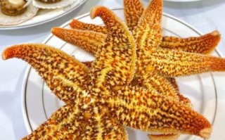 海星吃什么食物长大_海星幼体如何进食