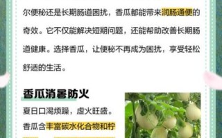 香瓜的功效与作用有哪些_香瓜的营养价值高吗