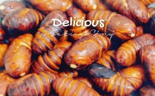 香炒蚕蛹怎么做_香炒蚕蛹好吃吗