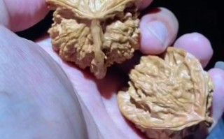 文玩核桃怎么盘_多久能包浆