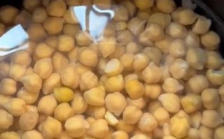 鹰嘴豆豆浆怎么做_鹰嘴豆豆浆的功效与禁忌