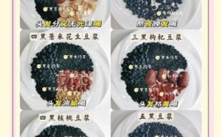 黑豆浆的做法大全_黑豆浆怎么做好喝