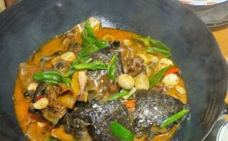 甲鱼怎么做才好吃_清炖甲鱼汤的家常做法