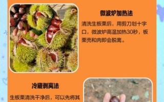 板栗怎么剥壳_生板栗快速去皮方法