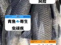 青鱼为什么不吃头_鱼头能不能吃
