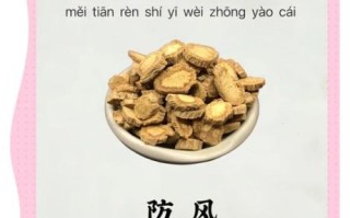 防风的功效与作用_防风用量是多少