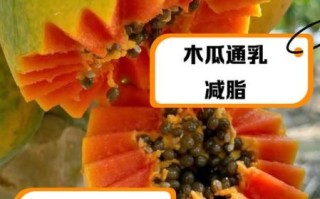 树木瓜的功效与作用_树木瓜怎么吃效果最好