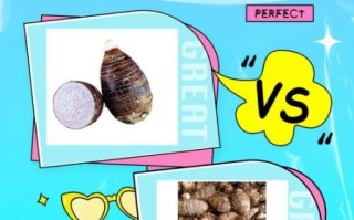 香芋和芋头怎么辨别_香芋和芋头的区别