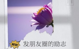 如何发朋友圈励志句子_正能量短句怎么写