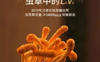 蚕蛹虫草的功效与作用_蚕蛹虫草怎么吃效果最好