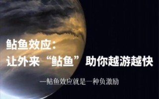 鲶鱼效应的管理原理是什么_如何激发团队活力