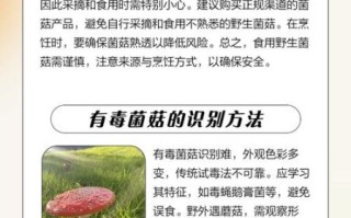 海鲜菇中毒是真的吗_如何避免海鲜菇中毒