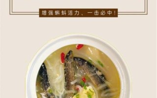 泥鳅大补汤的做法_泥鳅大补汤的功效与禁忌