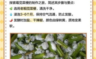 霉苋菜梗怎么做_霉苋菜梗要发酵多久