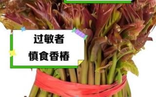 什么人不能吃香椿芽_香椿芽禁忌人群 什么人不能吃香椿芽_香椿芽禁忌人群