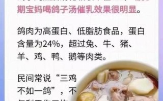 坐月子喝鸽子汤回奶吗_鸽子汤回奶还是下奶