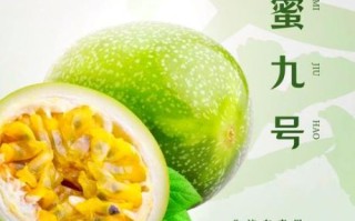 西番莲的功效与作用_西番莲怎么吃效果最好