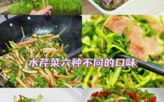 水芹菜能吃吗_水芹菜怎么吃才安全