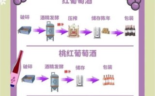 怎样做葡萄酒_自酿葡萄酒的正确方法
