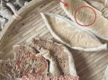 松茸变质什么样子_如何辨别还能不能吃