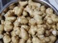 鬼子姜怎么腌制_鬼子姜腌制方法大全