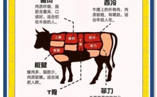 牛排种类有哪些_牛排名字大全及区别