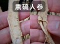 假人参是什么_假人参和真参区别