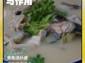 黑鱼汤怎么做好吃_黑鱼汤去腥增鲜窍门