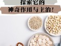 茯神的功效与作用及禁忌_茯神适合哪些人吃