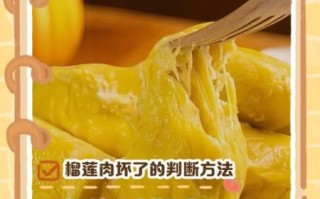 榴莲肉坏了_如何判断