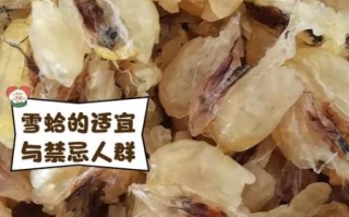雪蛤的功效与作用有哪些_雪蛤适合什么人吃