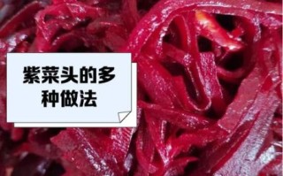 紫菜头博客怎么赚钱_紫菜头博客流量变现方法