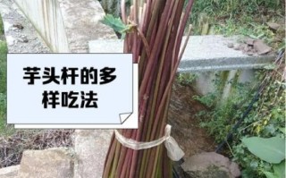 芋头杆的功效与作用_芋头杆的禁忌有哪些