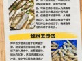 蛏子怎么洗才干净_蛏子清洗的正确方法