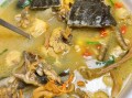 甲鱼怎么吃最有营养_甲鱼汤怎么炖最补