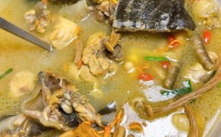 甲鱼怎么吃最有营养_甲鱼汤怎么炖最补