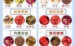 养生项目有哪些_适合上班族的养生方法